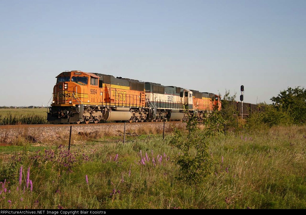 Empty coal train passes some purpleish flowery things at the west switch at Avondale, TX
